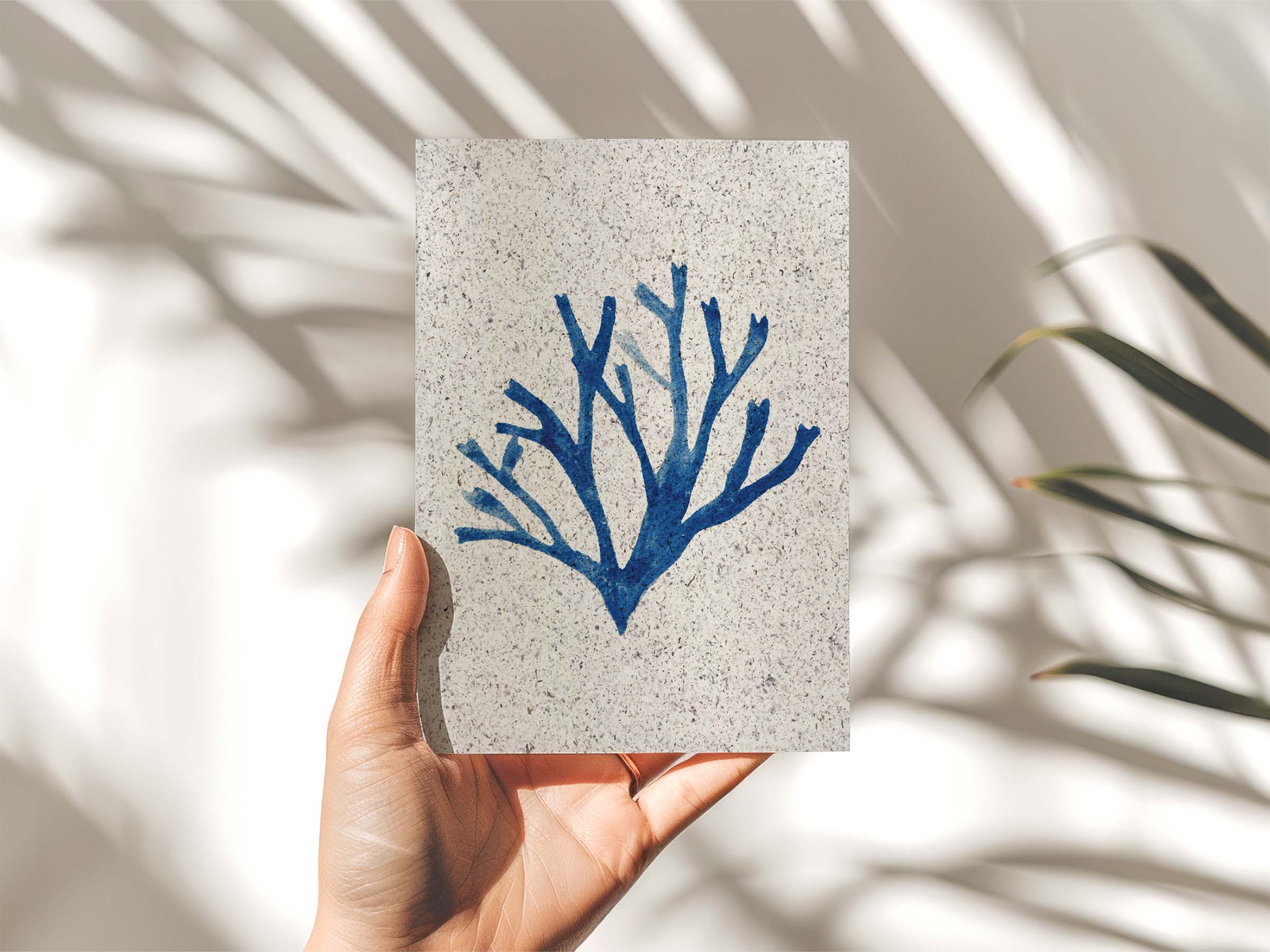 Seaweed and coral prints | from Kelpi Studio
